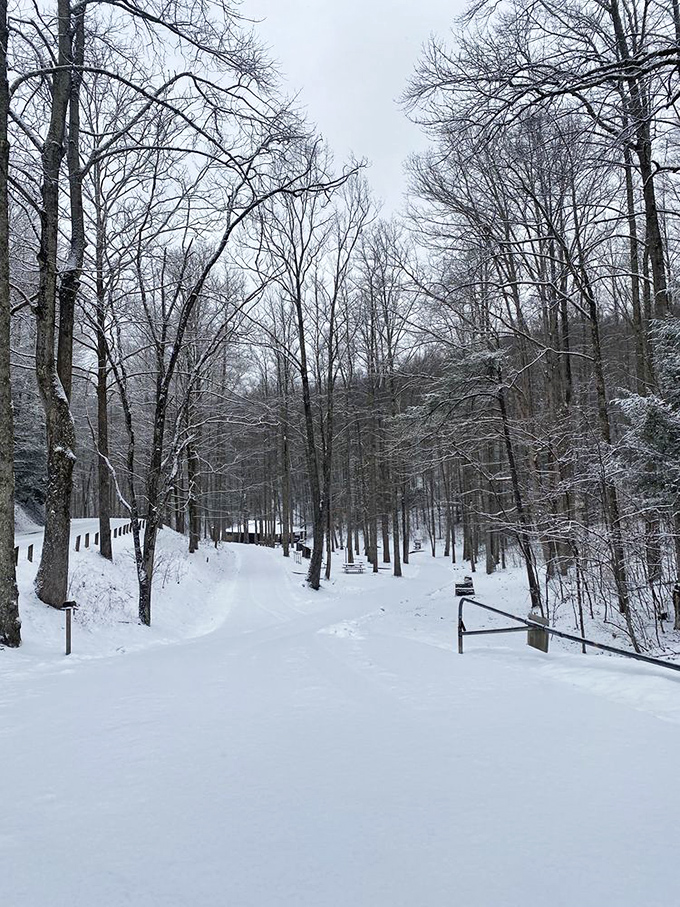 Winter transforms Kingdom Come into a hushed wonderland. The snow-covered trails offer solitude that's increasingly rare in our noisy world.