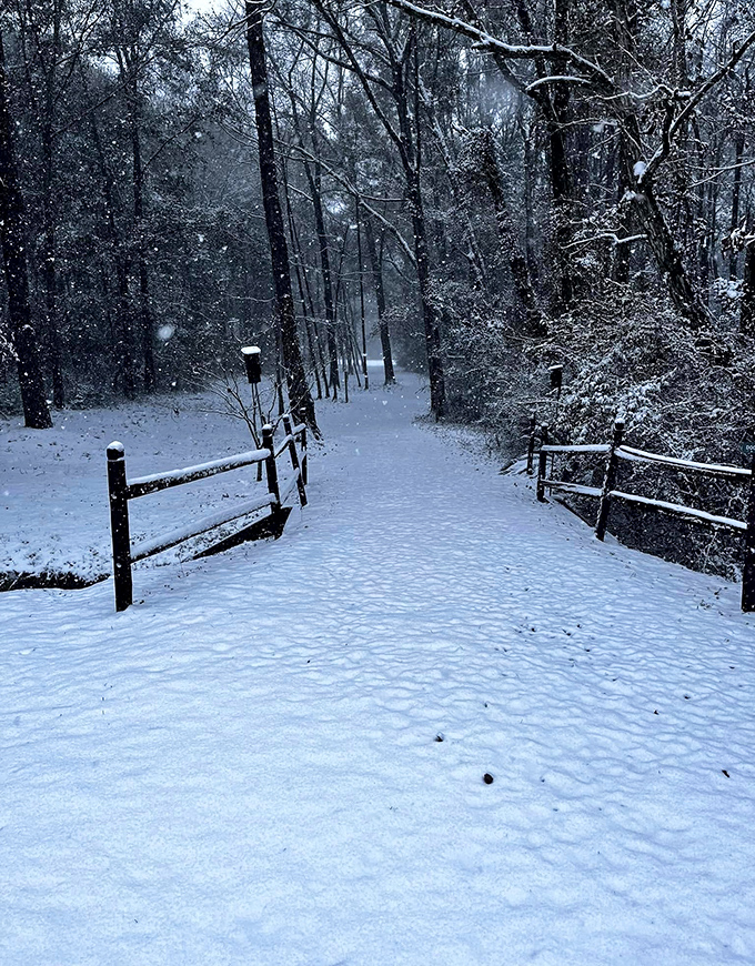 Even winter can't diminish this park's charm&mdash;snow-dusted trails transform into a peaceful wonderland worth bundling up for.