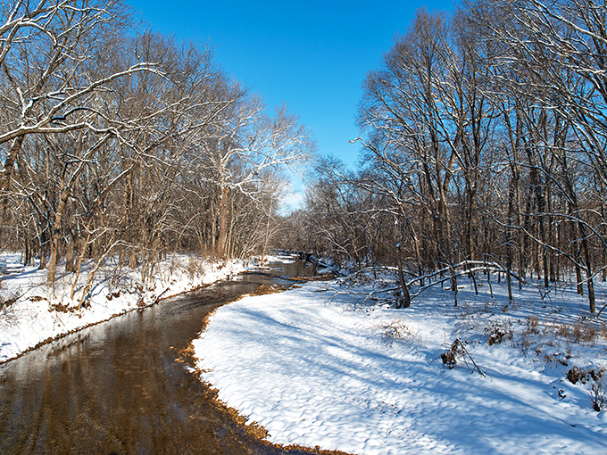Winter transforms Cuivre River into a snow-dusted wonderland. That stream isn't frozen, but my fingers would be after five minutes here.