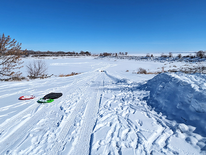 Winter transforms the park into a pristine wonderland of white. Snow angels and sledding required, complaints about cold optional.