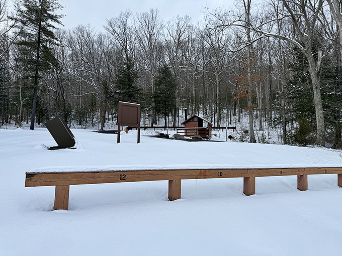 Winter transforms Poe Valley into a serene wonderland. That bench isn't just covered in snow&mdash;it's saving you a front-row seat to nature's quiet season.
