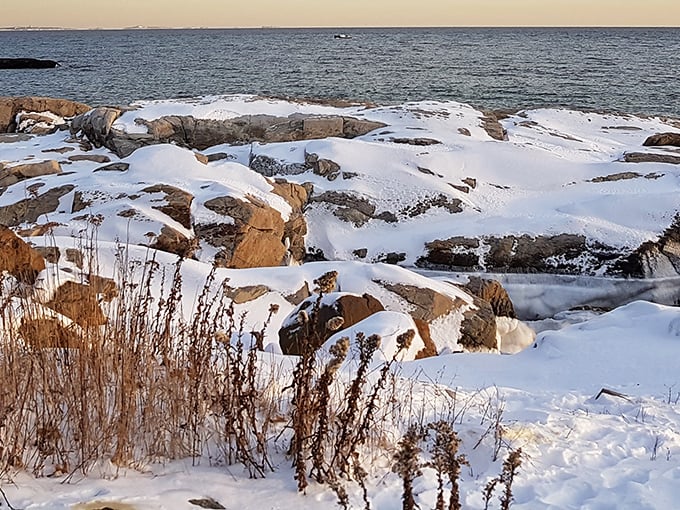 Winter transforms the shoreline into a contemplative masterpiece of white and blue. The off-season secret that locals treasure when tourists retreat inland.