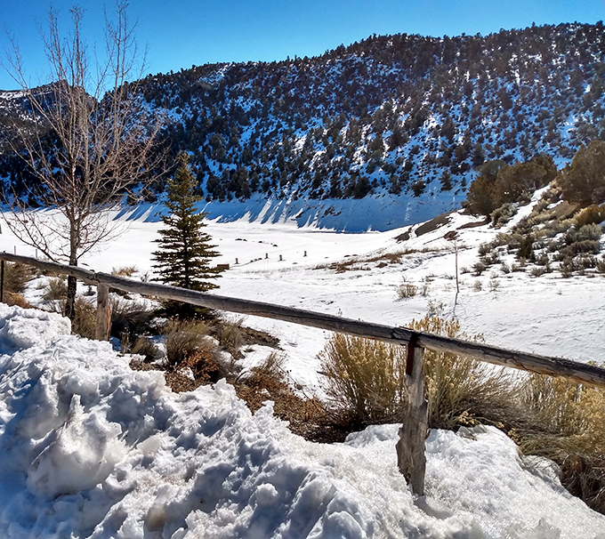 Winter blankets Cave Lake in pristine white, transforming the park into a snow globe you can actually walk through.