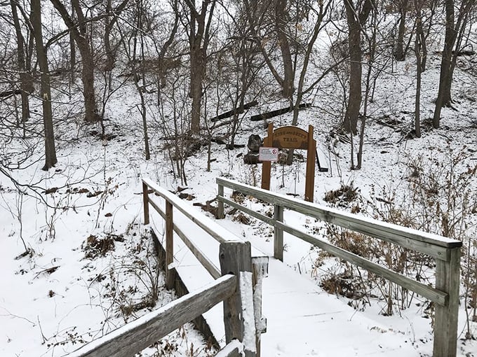 Winter transforms Palisades into a hushed wonderland. The snow-covered trail looks like the entrance to Narnia, minus the talking lion.