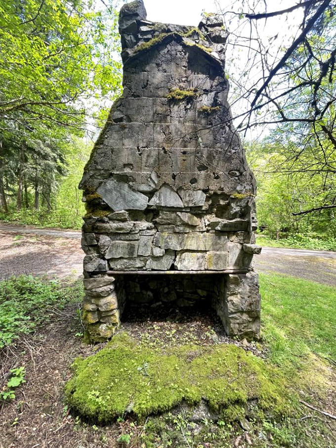 This weathered stone chimney stands as a testament to the park's history, still standing proud among the moss and memories.
