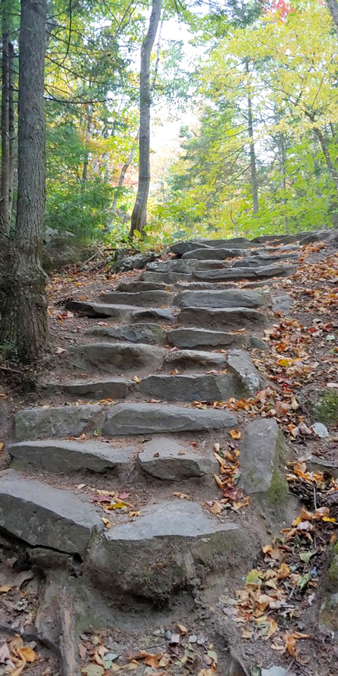 Stairway to heaven, Maine edition: Stone steps ascending through a kaleidoscope of fall foliage that makes gym stair-climbers seem tragically pointless.