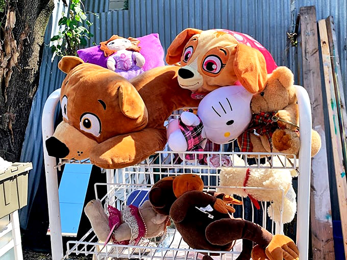 Stuffed animal retirement village where childhood companions await their second act. That Paw Patrol pup looks ready for a new adventure.