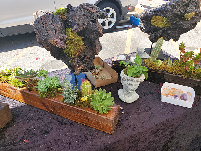 Succulents meet sculpture in these living art pieces&mdash;desert gardens that even the most notorious plant-killers might keep alive.