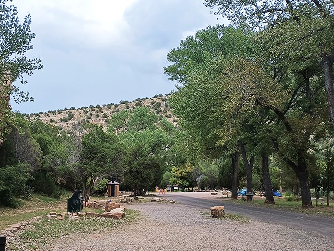 Those cottonwood-shaded campsites prove that roughing it doesn't have to mean suffering through miserable heat all day.