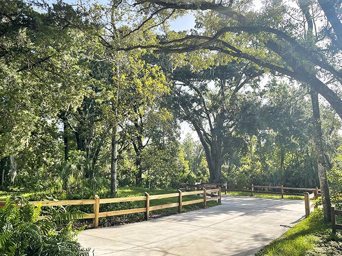 Sunlight filters through ancient oaks along the park's winding pathways. These shaded trails offer peaceful respite between the splashes and spectacles.