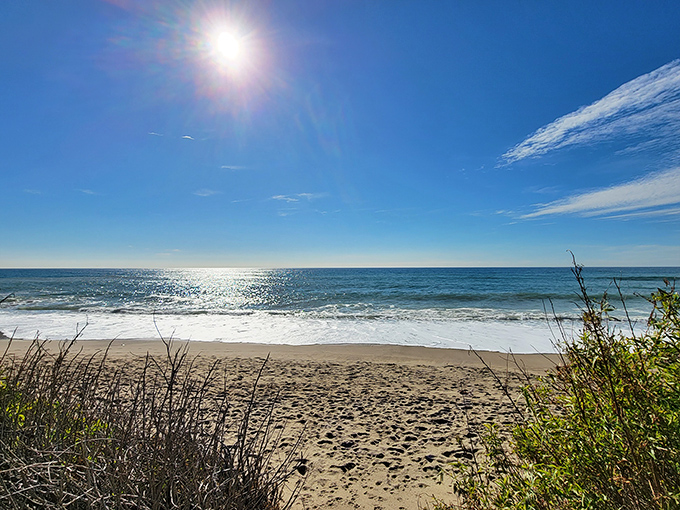 That California light show they never charge admission for. Worth every minute of the PCH traffic jam you endured to get here.