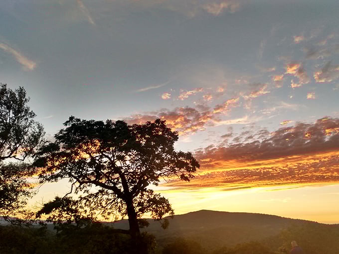 Sunset paints the sky in shades no filter could improve. Nature's daily farewell show makes you forget about whatever series you're currently streaming.