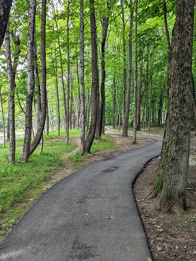 This winding path through sun-dappled woods invites visitors to slow down and remember that sometimes the best therapy costs nothing but time.