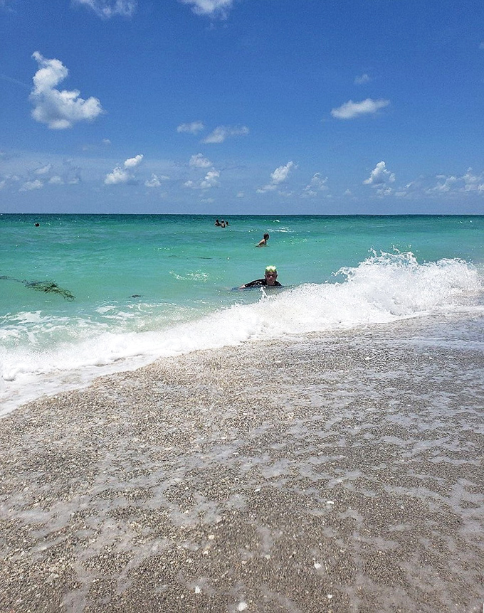 When the Gulf of Mexico decides to become a swimming pool. Those crystal-clear waters are nature's way of saying "dive in!"