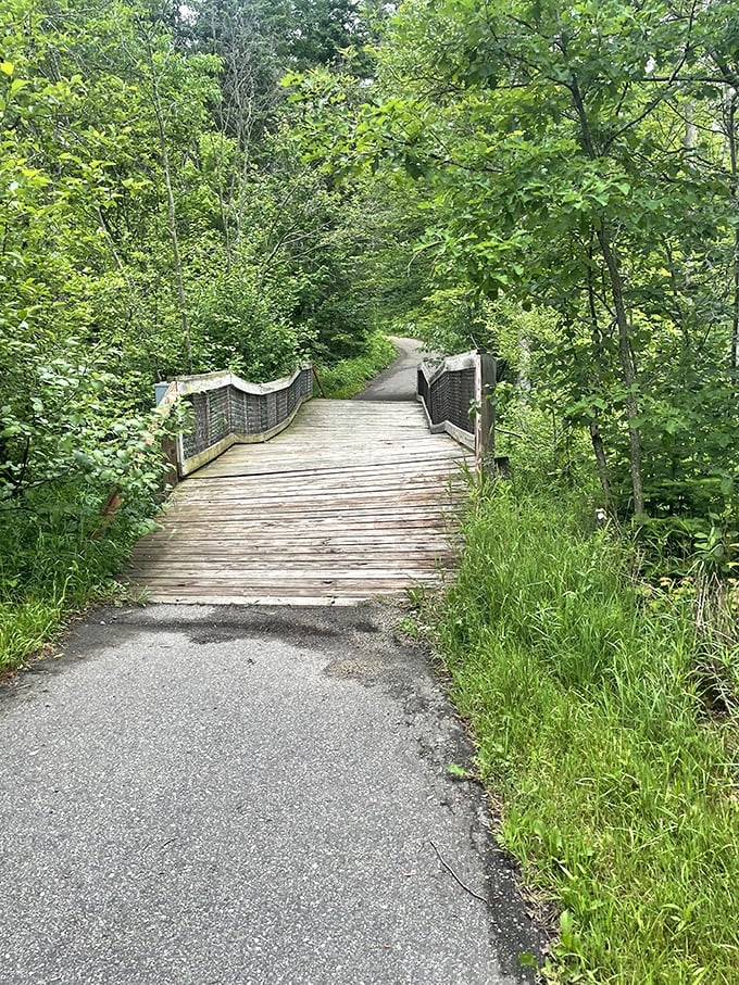 Nature trails like this one remind us that sometimes the best therapy costs nothing&mdash;just wooden planks guiding you through Minnesota's lush embrace.