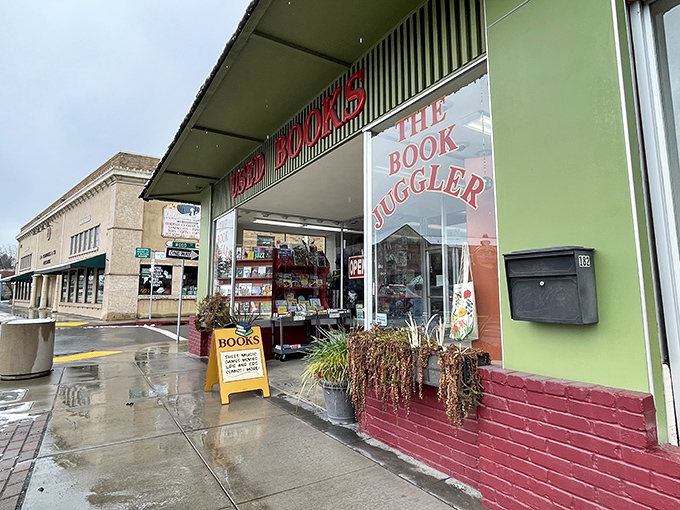 The Book Juggler invites bibliophiles to discover treasures that don't require a subscription or battery charge, just the timeless pleasure of turning pages.