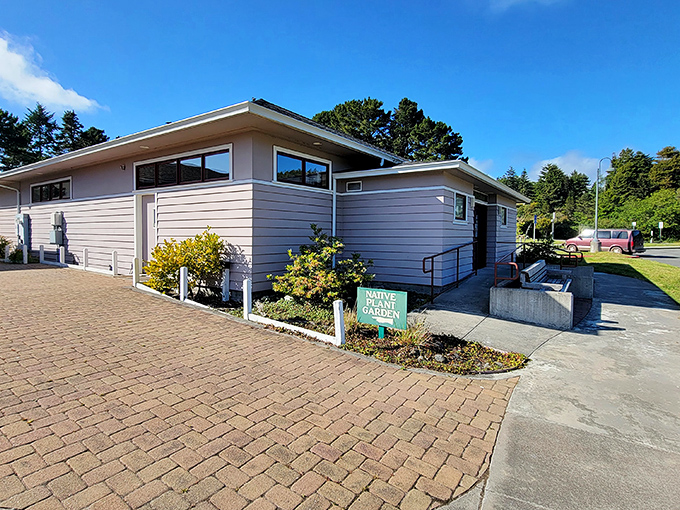 Small-town charm in library form &ndash; because even paradise needs a good book nook.
