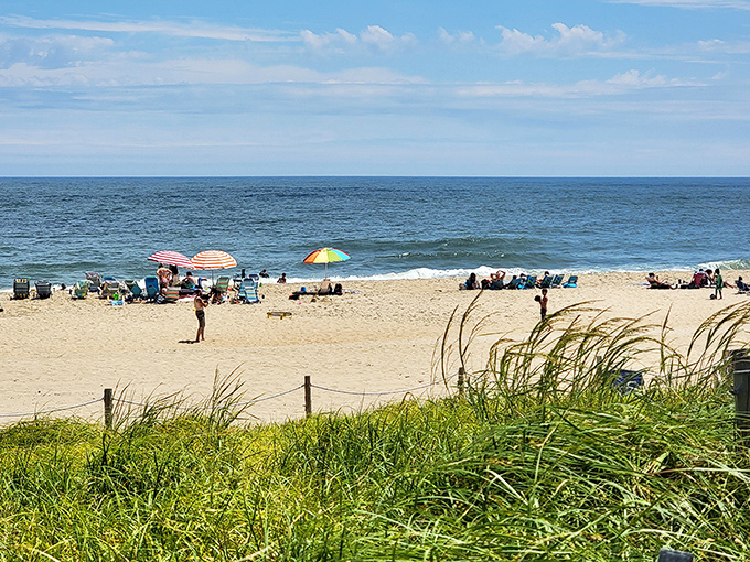 Summer crowds gather for nature's daily spectacular, where admission is free and memories are priceless.