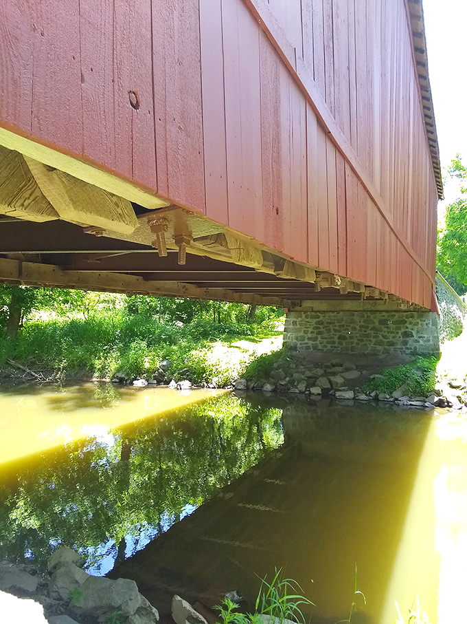 From below, the bridge reveals its underside engineering, where wooden beams meet stone foundations above the gentle flow of Pidcock Creek.