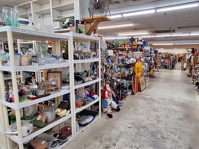 Every aisle offers a different decade. Turn one corner for the '50s, another for the '80s&mdash;time travel without the complicated physics.