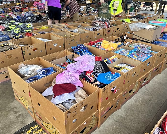 Cardboard boxes overflow with clothing treasures, like a department store exploded and landed softly in organized chaos.