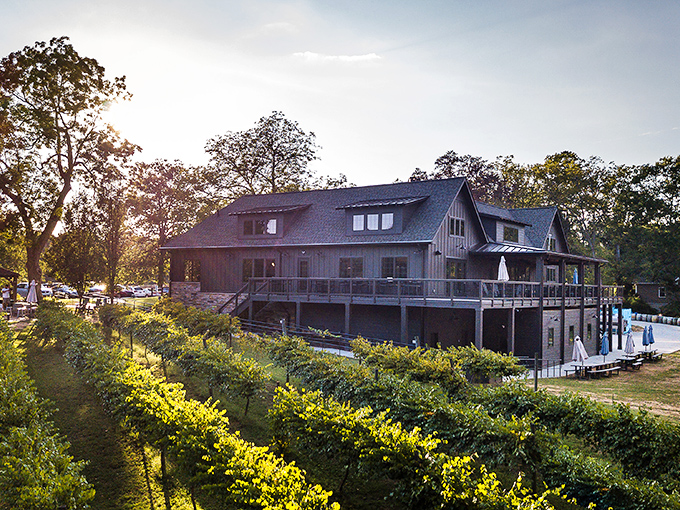 The modern farmhouse nestled among vineyard rows looks like it was plucked straight from a "dream home" Pinterest board.