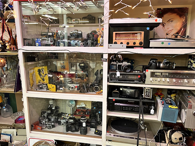 Vintage cameras and electronics that once represented cutting-edge technology, now charming reminders of when "wireless" meant something completely different.