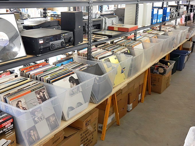 Vinyl records waiting to be rediscovered, because everything old eventually becomes cool again, especially if you kept the turntable.