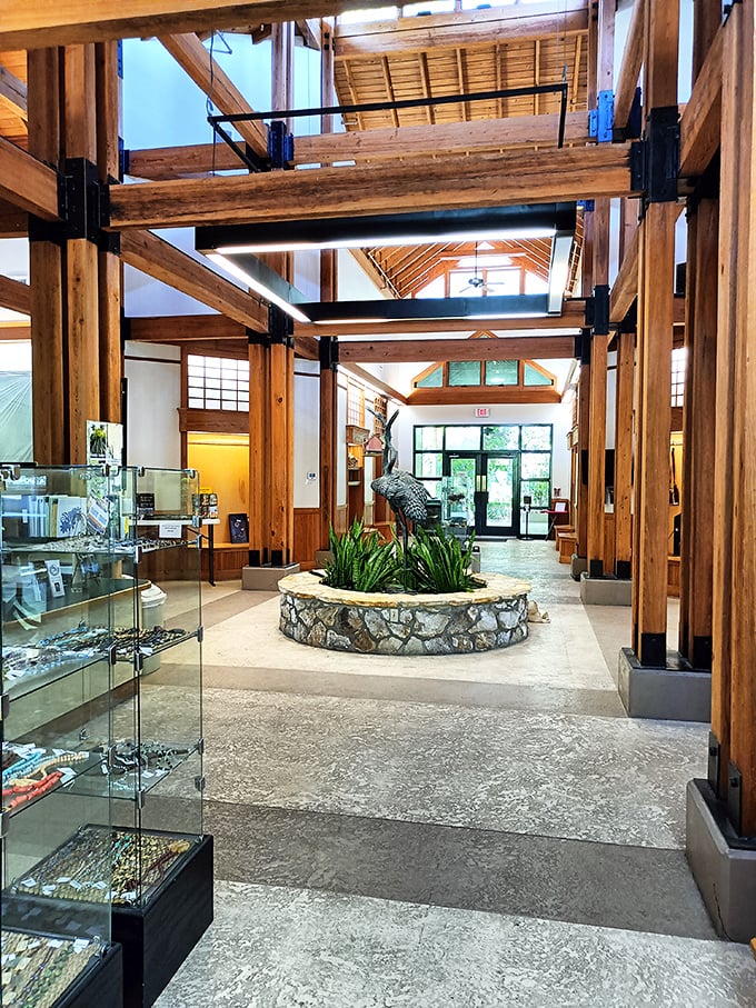 The visitor center welcomes with soaring wooden beams and natural light. First impressions matter, and this one's spectacular.