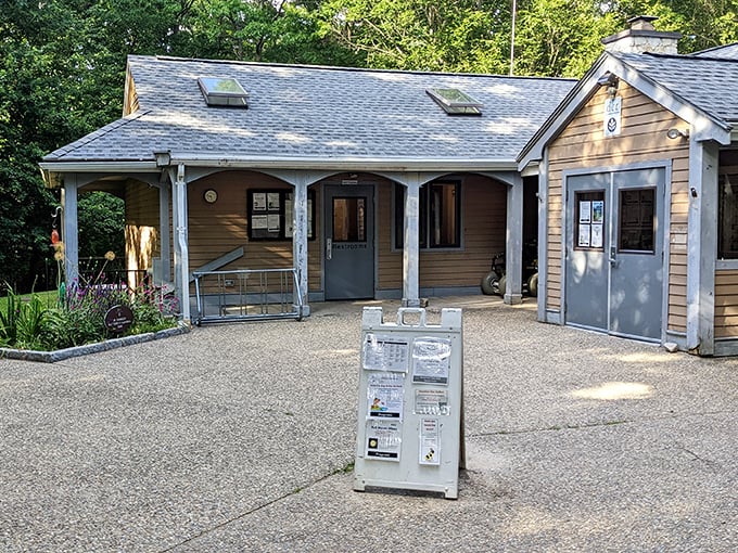 The visitor center: where park rangers answer the age-old question, "Is that poison ivy or just a really suspicious-looking plant?"