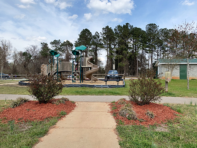 Playgrounds where kids actually play outside instead of swiping screens&mdash;Wadesboro Park offers simple pleasures that somehow feel revolutionary today.