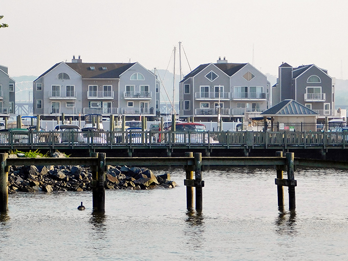 Waterfront condos with million-dollar views and boat slips just steps away. Living here means waking up to postcards every morning.