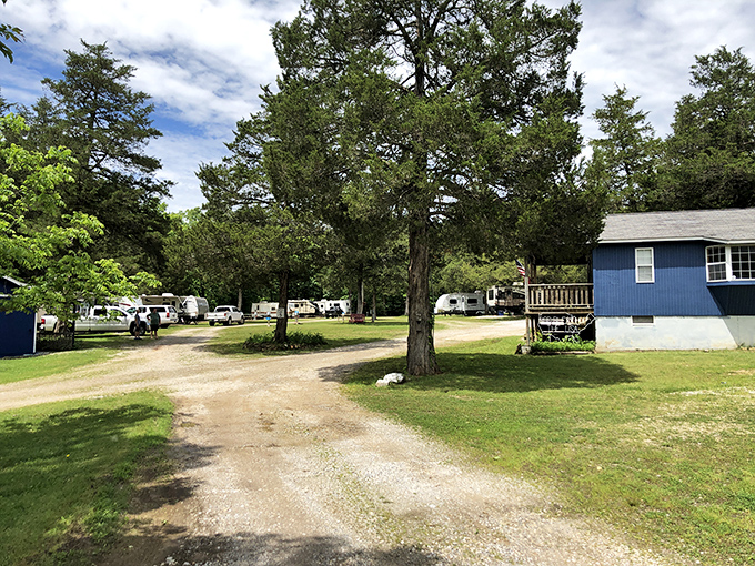 Whitewater RV Park offers camping with a side of serenity, where the loudest noise might be a distant fiddle.