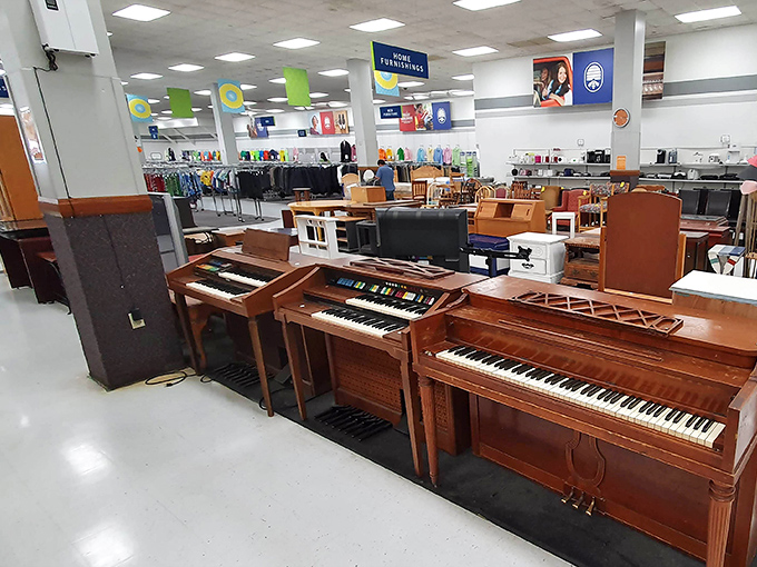 The furniture department stretches into the horizon like an IKEA without the relationship-testing assembly instructions. Every chair has a story; every table has hosted conversations. 