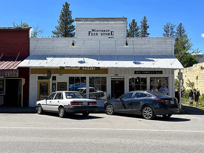 The Winthrop Gallery occupies the historic Feed Store building, proving that art and heritage can coexist beautifully in this mountain town.