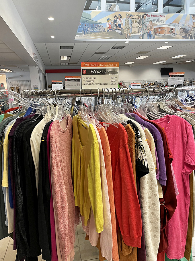 Style meets savings on every rack—women’s fashion finds that make secondhand feel first-class.