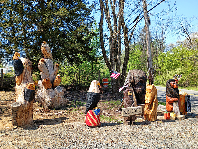 Chainsaw artistry turns fallen trees into a menagerie of American wildlife. These wooden sentinels welcome visitors with rustic charm and patriotic flair.
