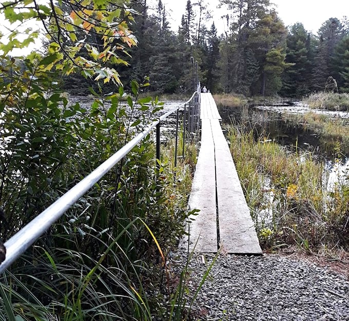 This unassuming footbridge leads adventurers through marshy terrain to hidden castle treasures. One wrong step and you're giving the leeches a free lunch.