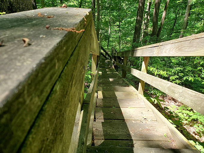 This wooden bridge beckons adventurers downward, promising discoveries that won't appear on any smartphone notification.