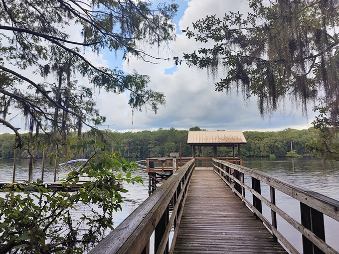 This boardwalk doesn't lead to cotton candy and carnival games, but something far better &ndash; an intimate connection with Florida's wild heart.