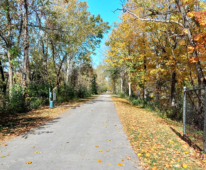 Fall transforms the Rail Trail into nature's confetti celebration, where every step crunches with seasonal satisfaction.
