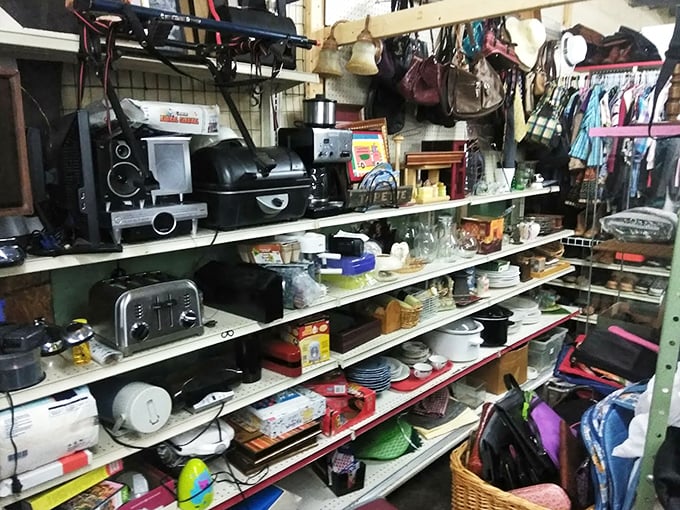 The appliance archaeology section: where vintage toasters and retro stereo equipment get their second chance at kitchen counter stardom.