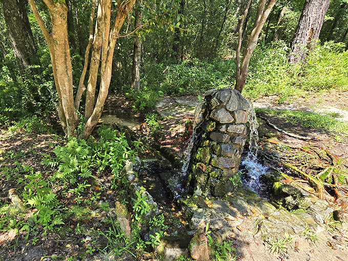 This artisan well is Mother Nature's original drinking fountain, bubbling up stories from deep beneath the Carolina soil.