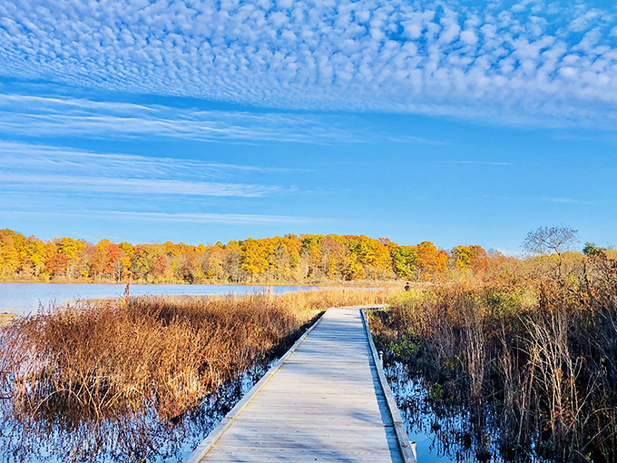 Fall at Punderson is Mother Nature's grand finale &ndash; a symphony of colors that makes even the most dedicated city-dweller reach for a camera.