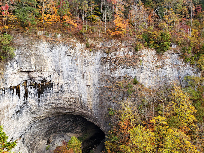 Fall foliage creates nature's perfect frame around the tunnel entrance. Autumn in Appalachia puts New England's leaf-peeping to shame. 
