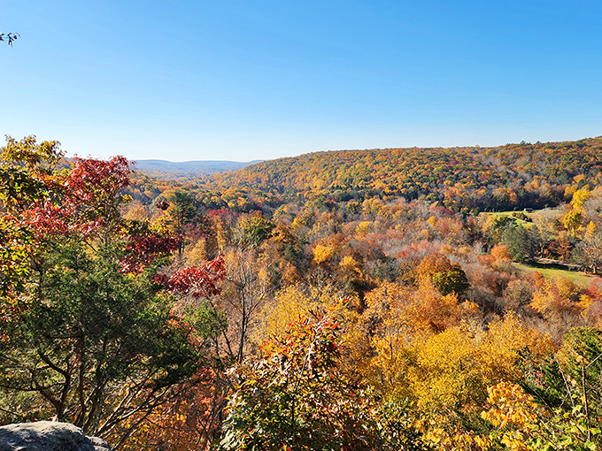 Mother Nature's autumn fashion show puts human designers to shame with this spectacular display of reds, golds, and oranges.