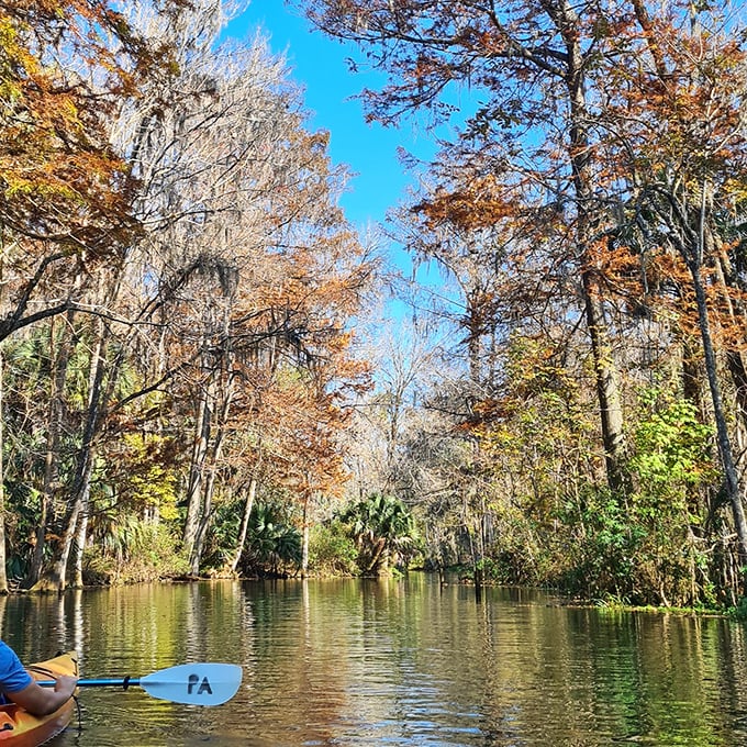 Fall foliage reflects in the silver waters, creating a kaleidoscope of autumn colors that proves Florida has seasons&mdash;they're just more subtle.