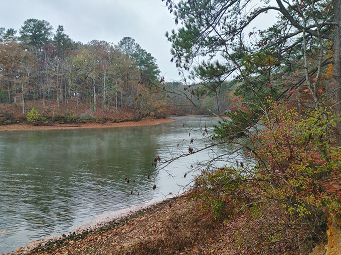Fall in Mississippi isn't just a season&mdash;it's a masterpiece. The lake becomes nature's mirror, doubling the autumn spectacle.