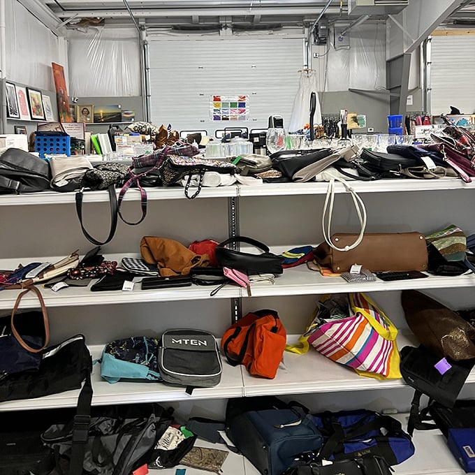 The handbag section: where designer dreams and practical storage solutions hang side by side, waiting for their next adventure.