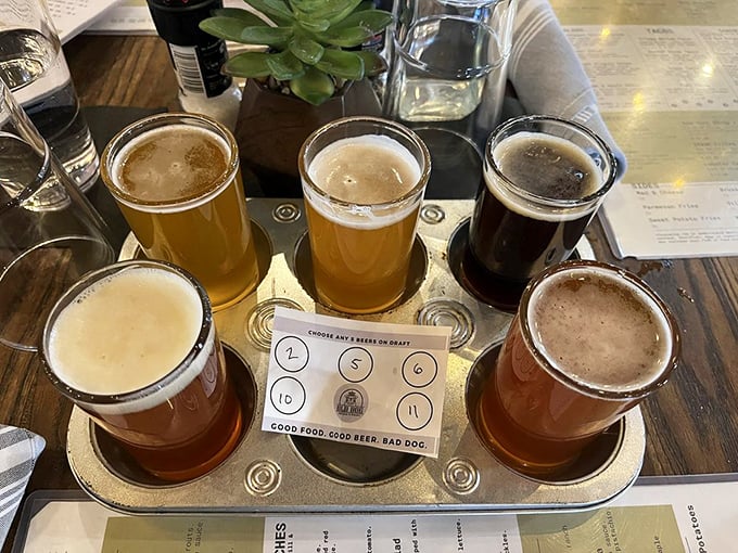 A flight of liquid possibilities &ndash; from amber to stout &ndash; each glass a different chapter in the story of craft beer.